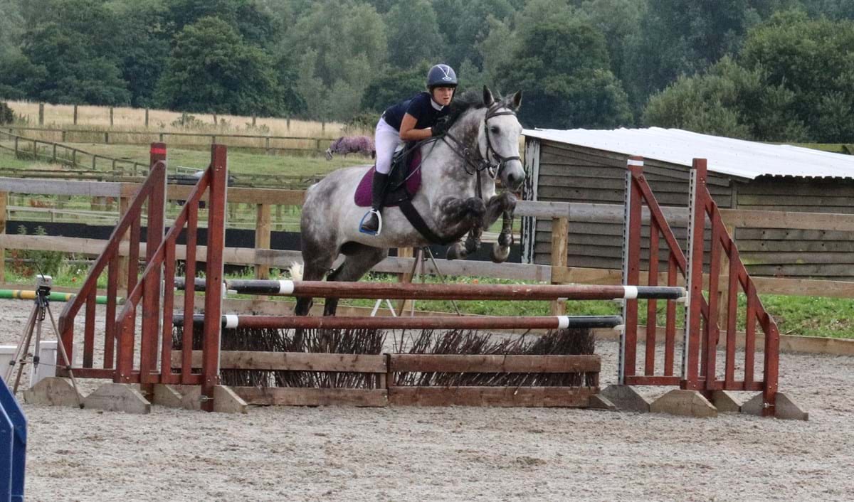 Arena Eventing — Anvil Park Stud